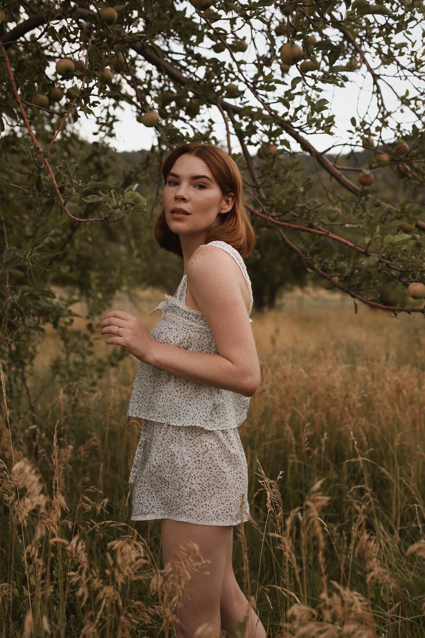 Summer Breeze - Pretty Little Fawn